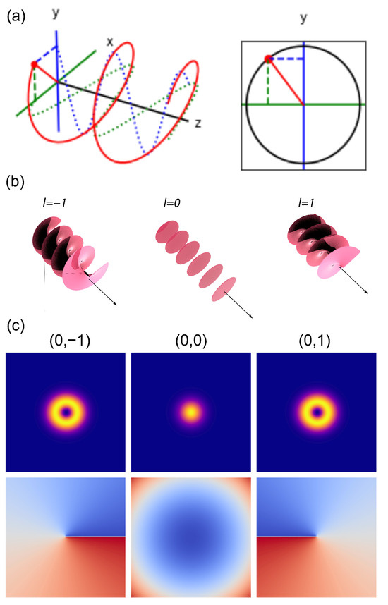 Structured Light from Classical to Quantum Perspectives