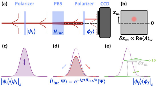 Structured Light from Classical to Quantum Perspectives