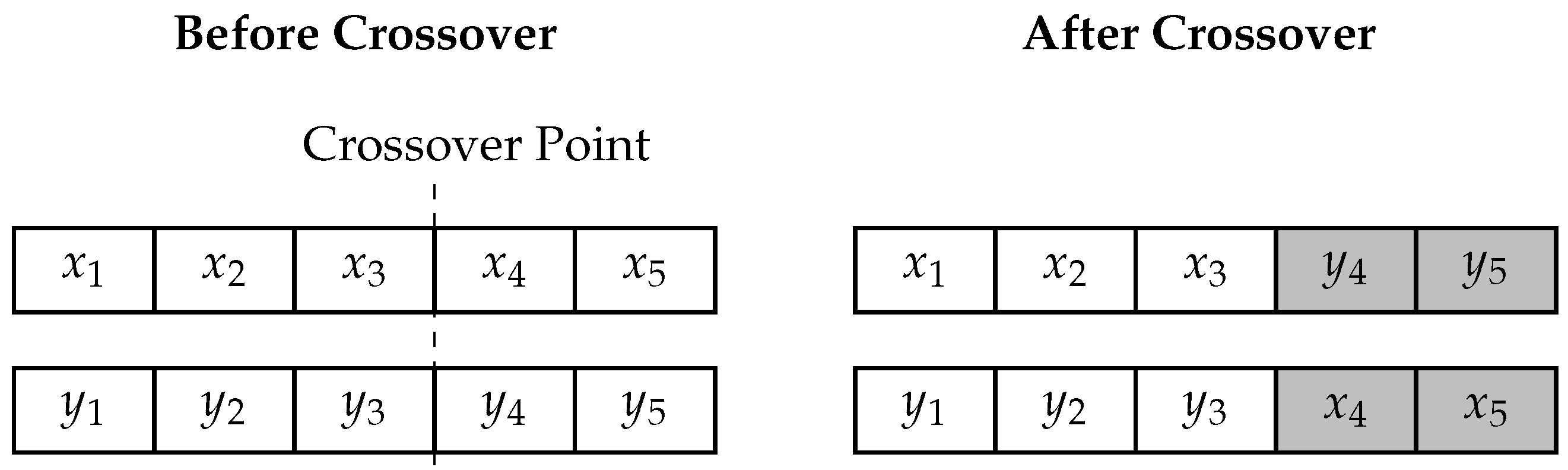 Imperative Genetic Programming