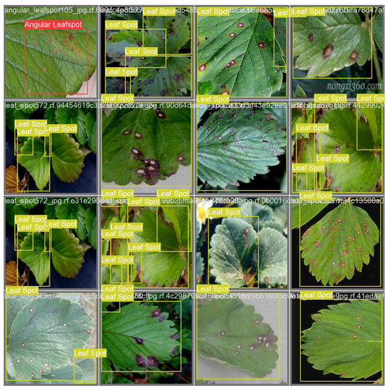 Real-Time Identification of Strawberry Pests and Diseases Using an Improved YOLOv8 Algorithm