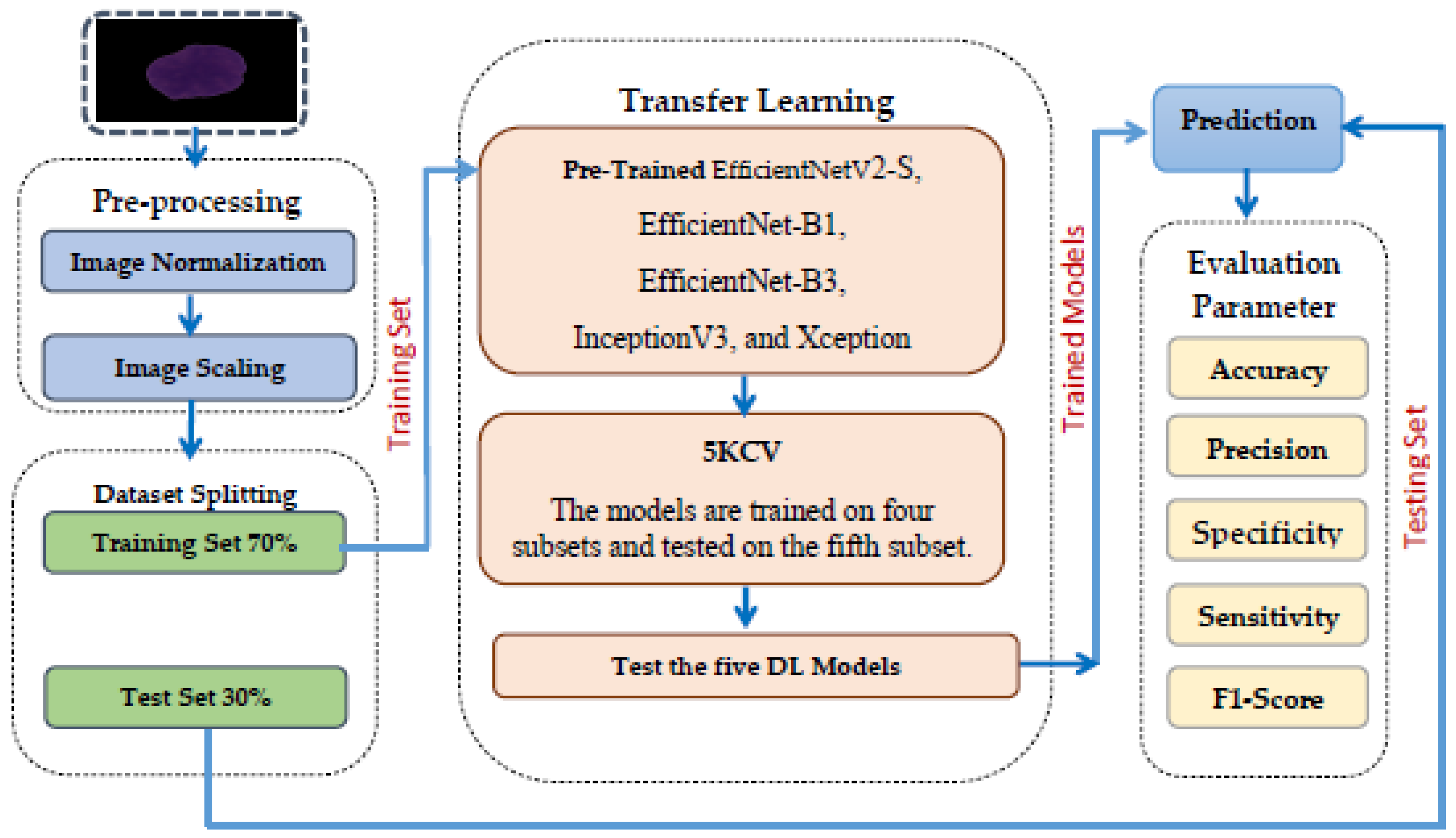 A Robust EfficientNetV2-S Classifier for Predicting Acute Lymphoblastic Leukemia Based on Cross ...