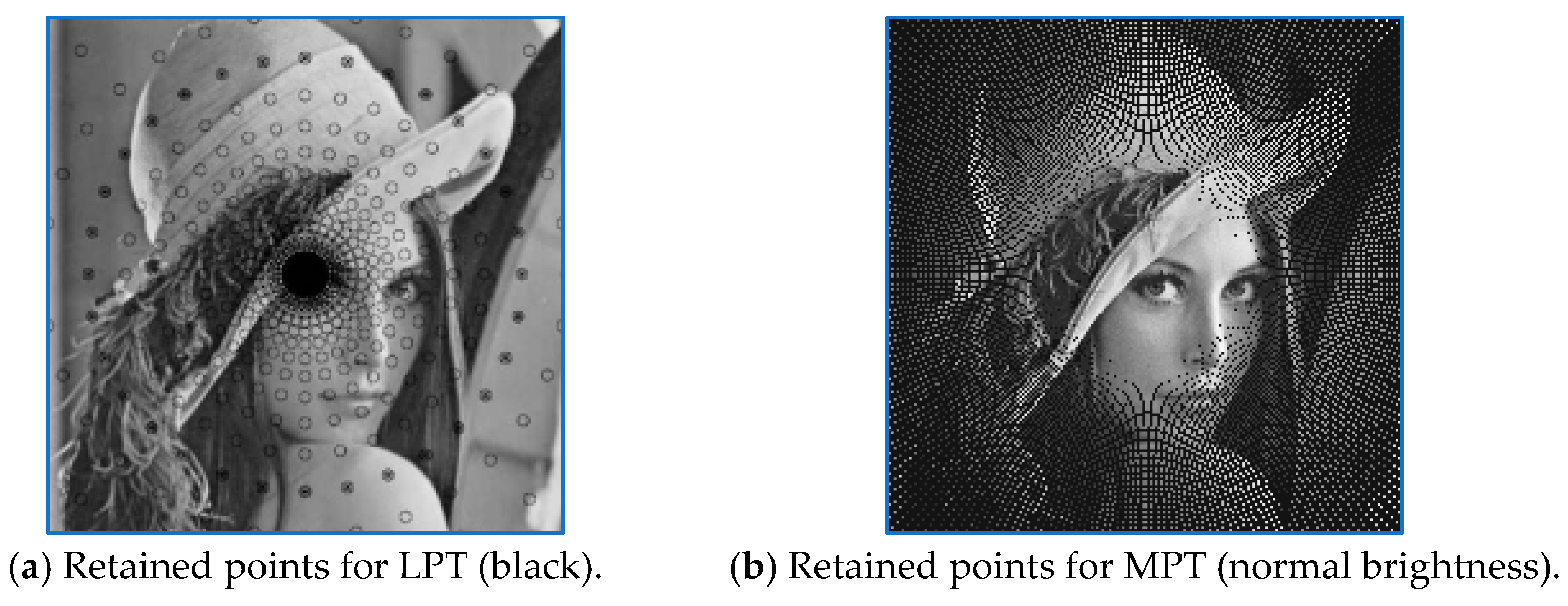 Adaptive Invariant Object Representation