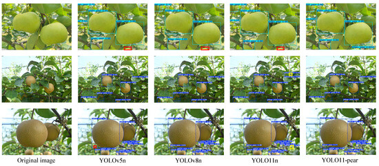 Pear Object Detection in Complex Orchard Environment Based on Improved YOLO11
