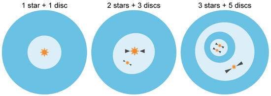 Circumstellar and Circumbinary Discs in Multiple Stellar Systems