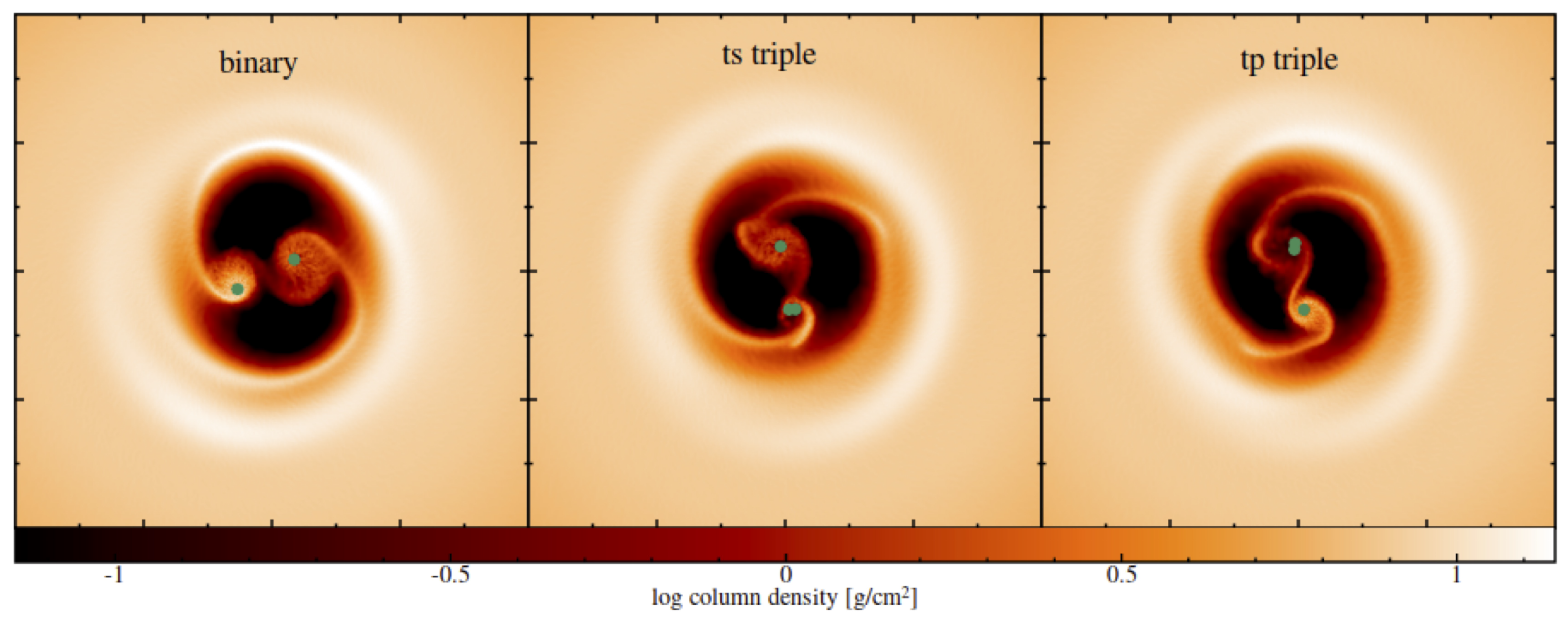Circumstellar and Circumbinary Discs in Multiple Stellar Systems
