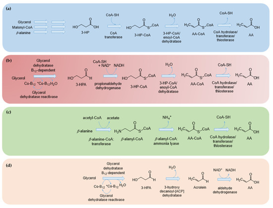 SynBio | An Open Access Journal from MDPI