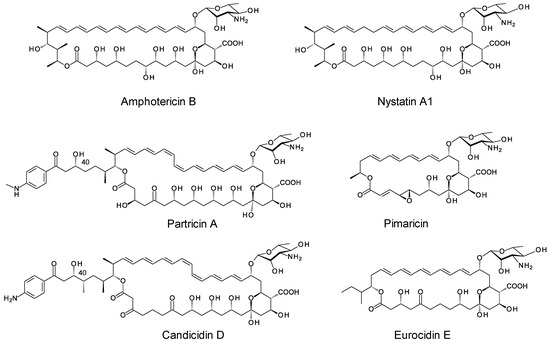 SynBio | Free Full-Text | Generation of New Glycoanalogues of Polyene ...