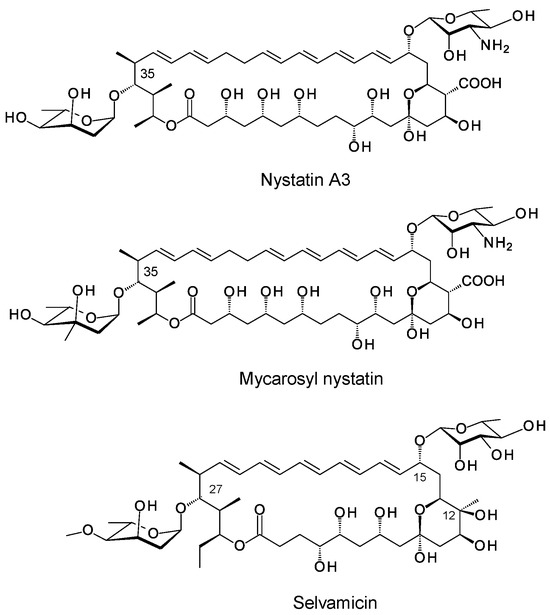SynBio | Free Full-Text | Generation of New Glycoanalogues of Polyene ...