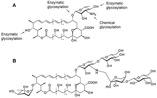 SynBio | Free Full-Text | Generation of New Glycoanalogues of Polyene ...
