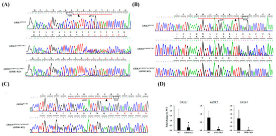 SynBio | Free Full-Text | Transcriptomic Investigation in CRISPR/Cas9 ...