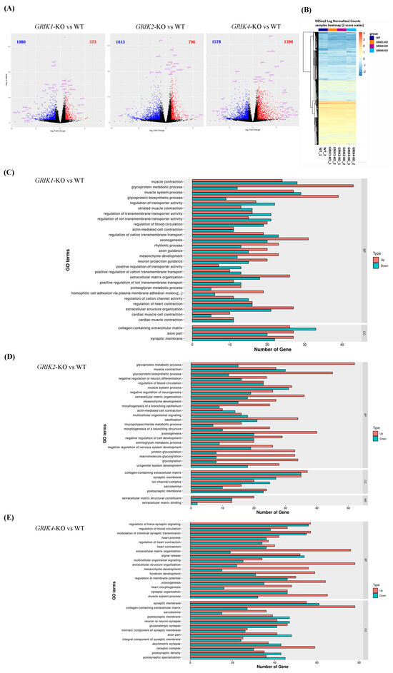 SynBio | Free Full-Text | Transcriptomic Investigation in CRISPR/Cas9 ...