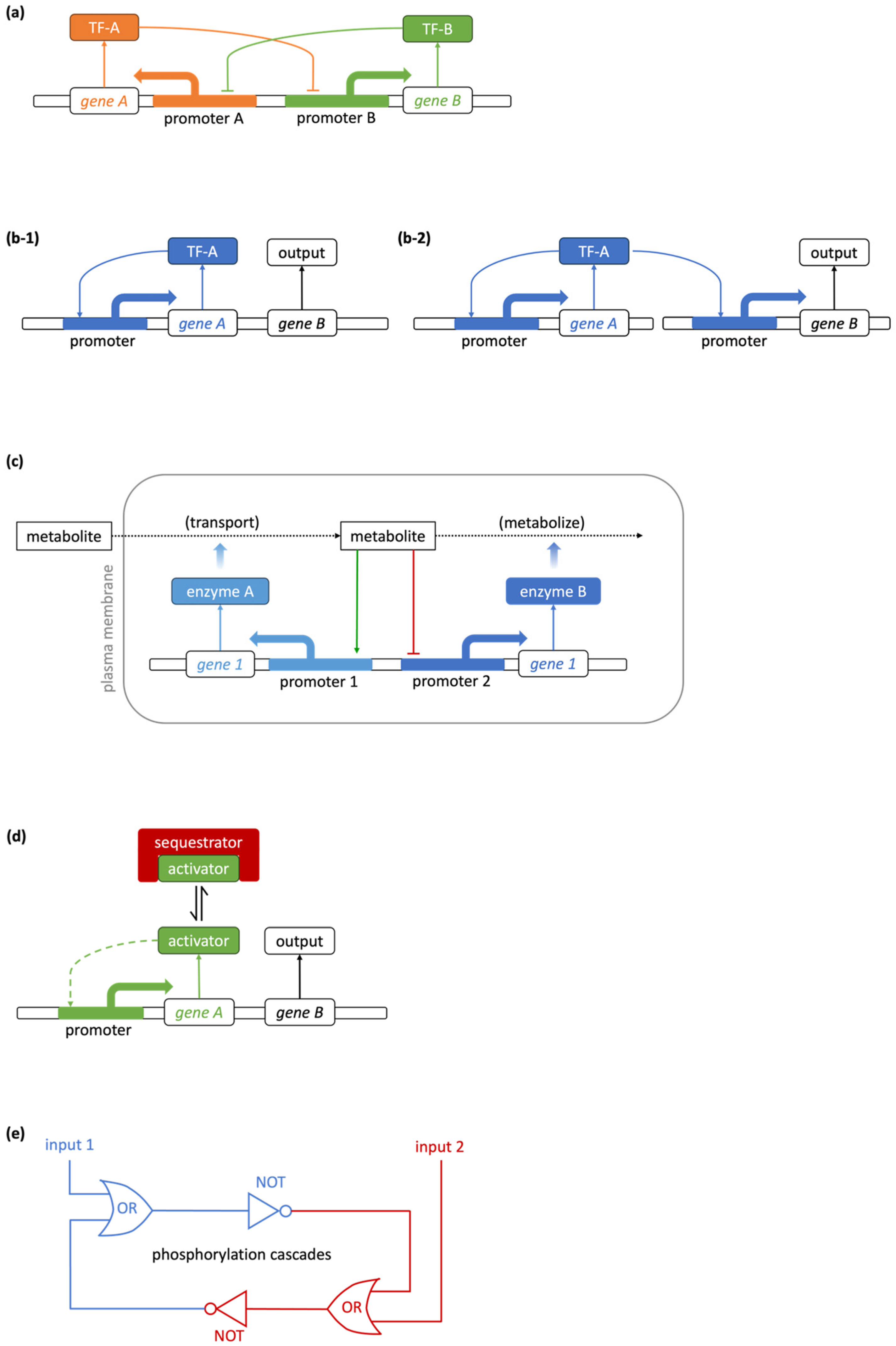 Harnessing Naturally Occurring Bistable Switches for Their Application ...