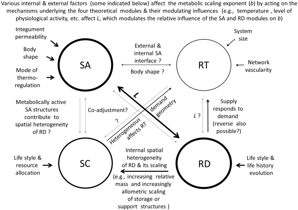 Metabolic Scaling in Complex Living Systems