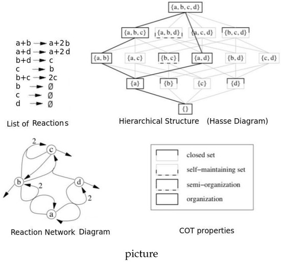 Reaction Networks as a Language for Systemic Modeling: Fundamentals and ...