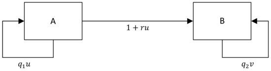 Multisided Platforms: Classification and Analysis
