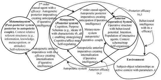Systems | Free Full-Text | Consciousness, Sapience and Sentience—A ...