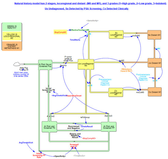 Systems | Free Full-Text | Dynamics of Medical Screening: A Simulation ...