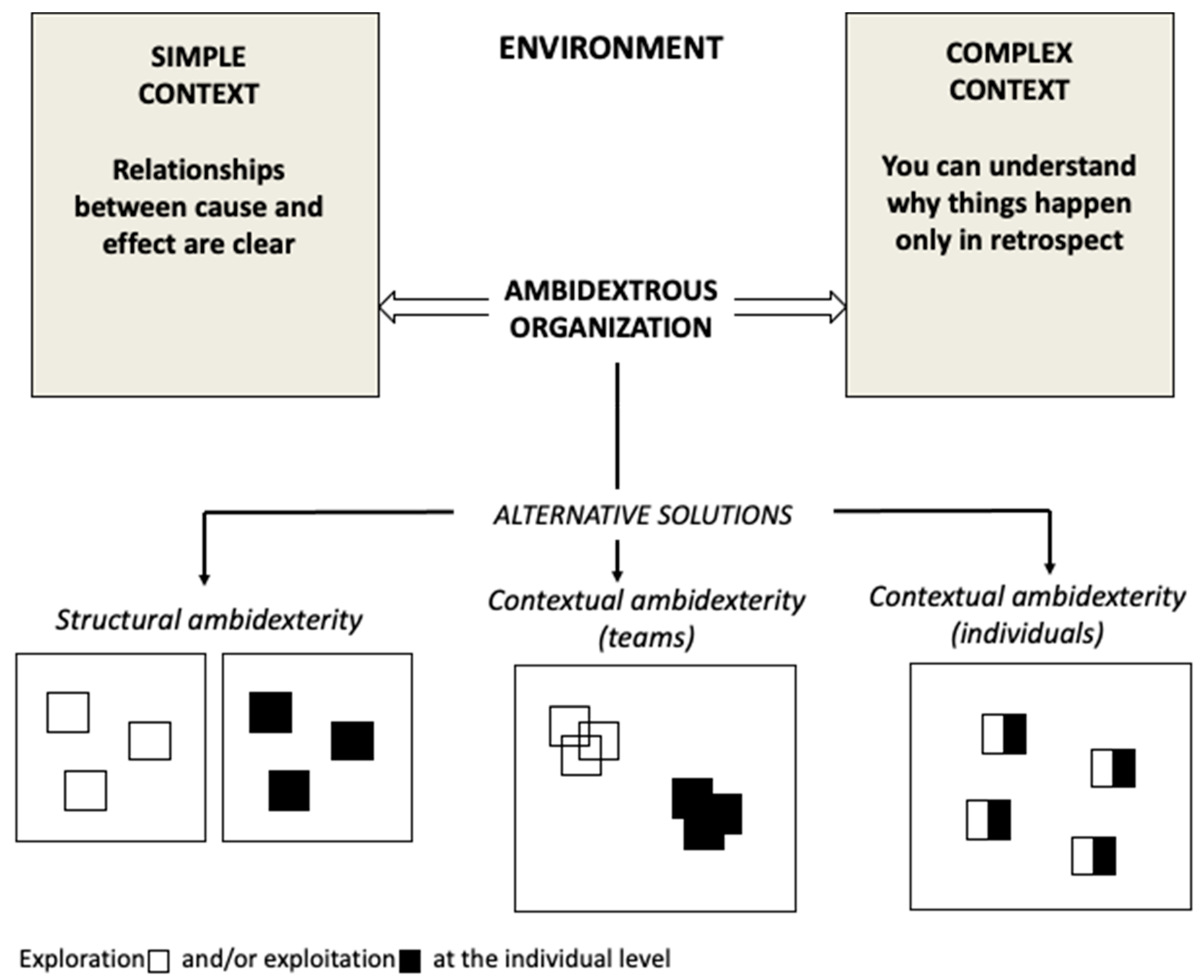 Systems | Free Full-Text | Managing the Lean–Agile Paradox in Complex Environments