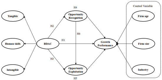 Research on the Mechanism of the Role of Big Data Analytic Capabilities ...
