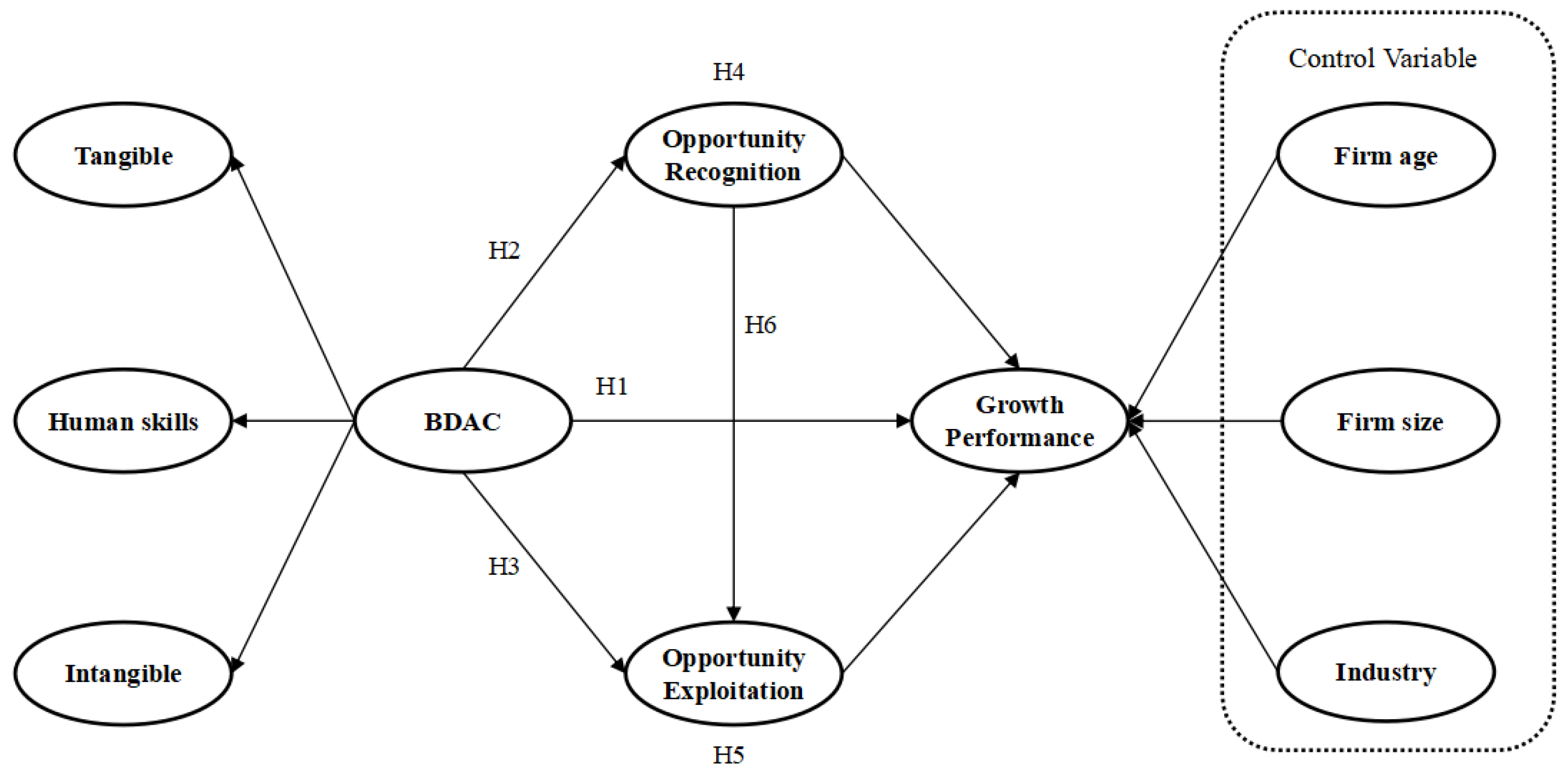 Research on the Mechanism of the Role of Big Data Analytic Capabilities ...