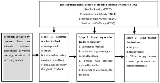 Unpacking the Complexities of Emotional Responses to External Feedback ...