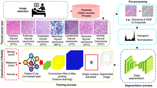 Systems | Free Full-Text | AI in Thyroid Cancer Diagnosis: Techniques ...