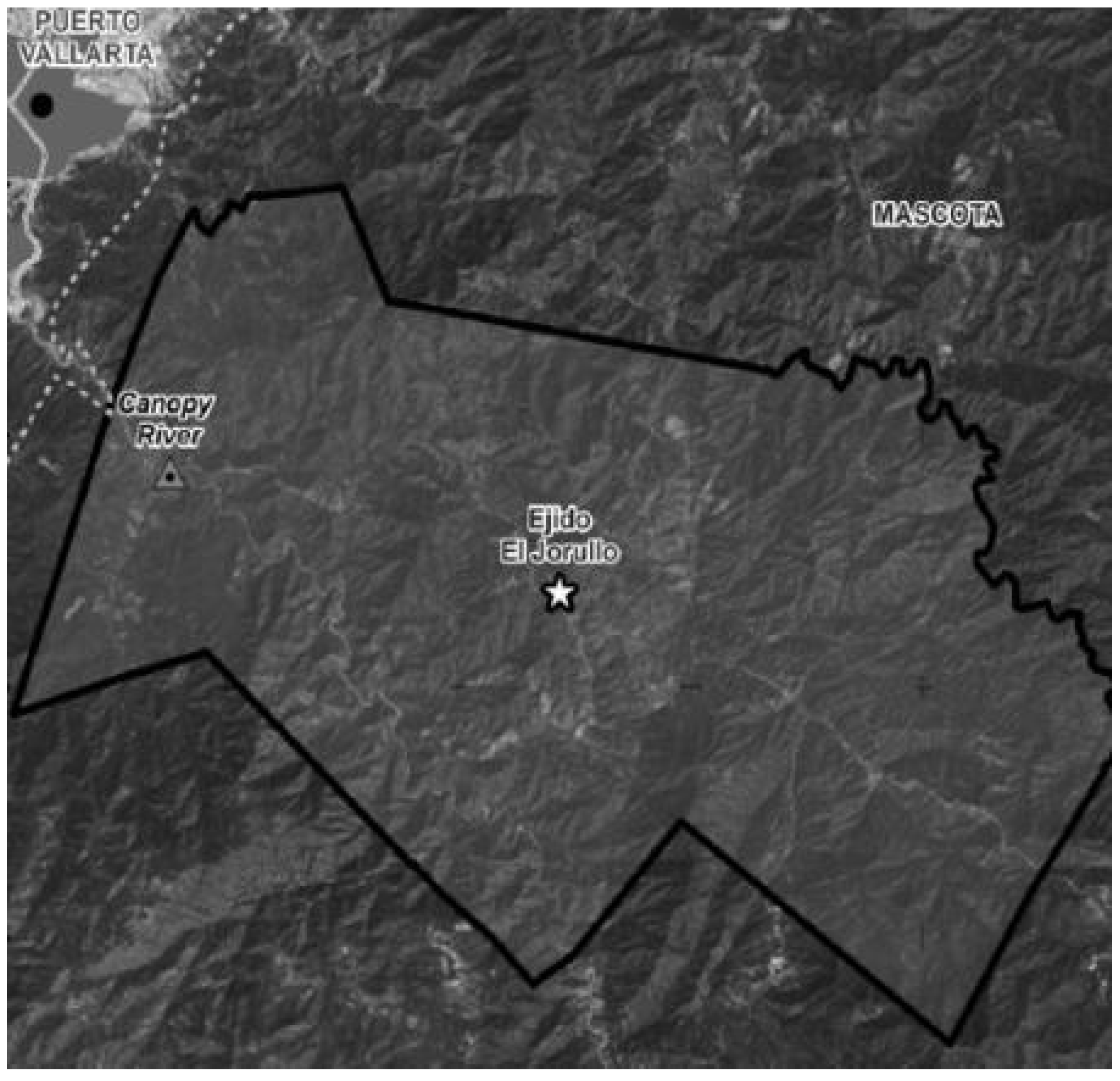 Competitive Integration of Social Tourism Enterprises Through an ...