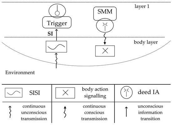 A Monitoring System for Measuring the Cognitive Cycle via a Continuous Reaction Time Task