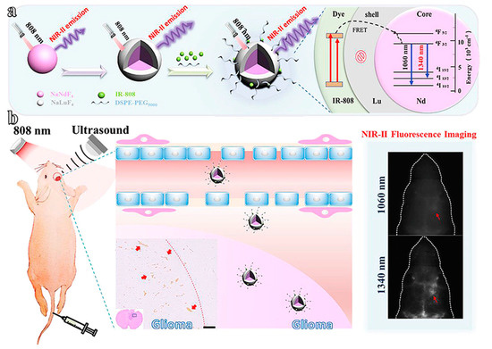 Fluorescent Imaging Agents for Brain Diseases