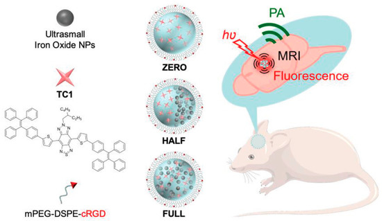 Fluorescent Imaging Agents for Brain Diseases