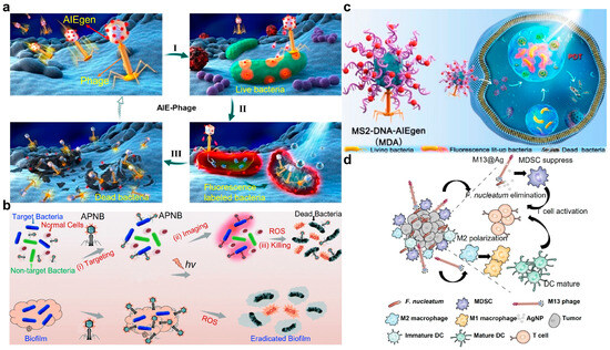 Living Bacteriophage Engineering for Functional Material Synthesis ...