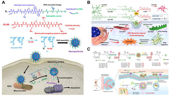 Design of Cell-Specific Targeting Peptides for Cancer Therapy