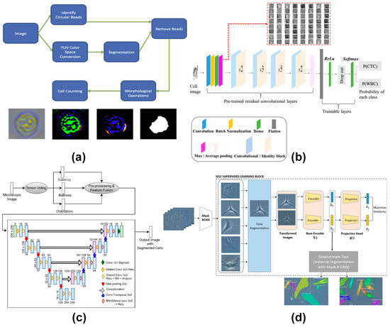 Application of Machine Learning in Cell Detection