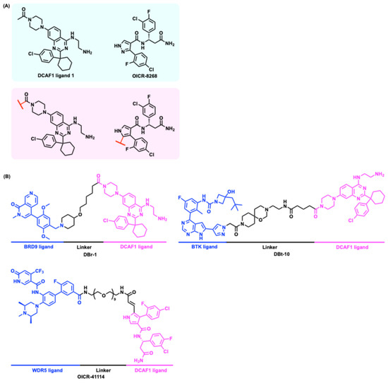 The Expanding E3 Ligase-Ligand Landscape for PROTAC Technology
