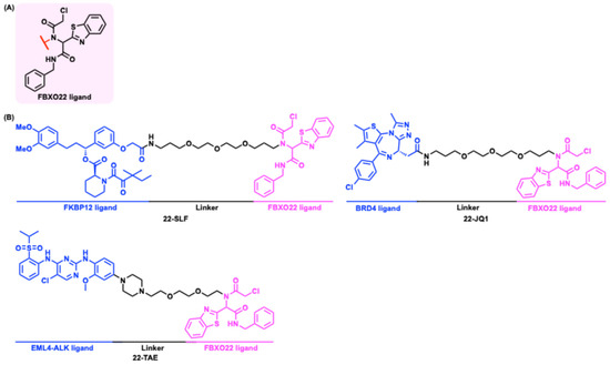 The Expanding E3 Ligase-Ligand Landscape for PROTAC Technology