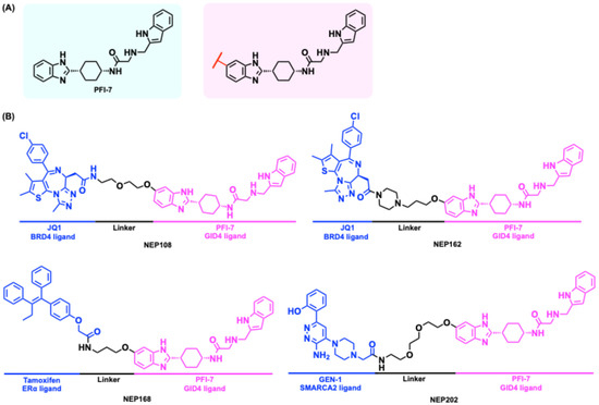 The Expanding E3 Ligase-Ligand Landscape for PROTAC Technology