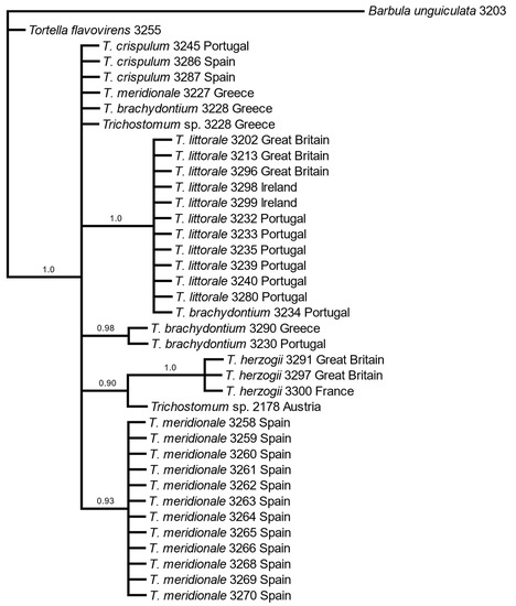 Taxonomy | An Open Access Journal from MDPI