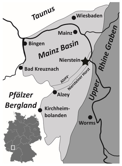 New Brittle Stars (Echinodermata, Ophiuroidea) from the Oligocene of ...