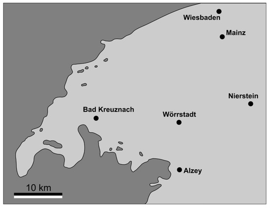 New Brittle Stars (Echinodermata, Ophiuroidea) from the Oligocene of ...