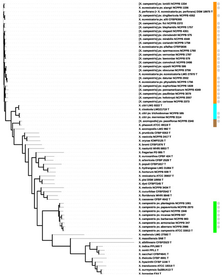 Phylogenomic Analysis Supports the Transfer of 20 Pathovars from ...