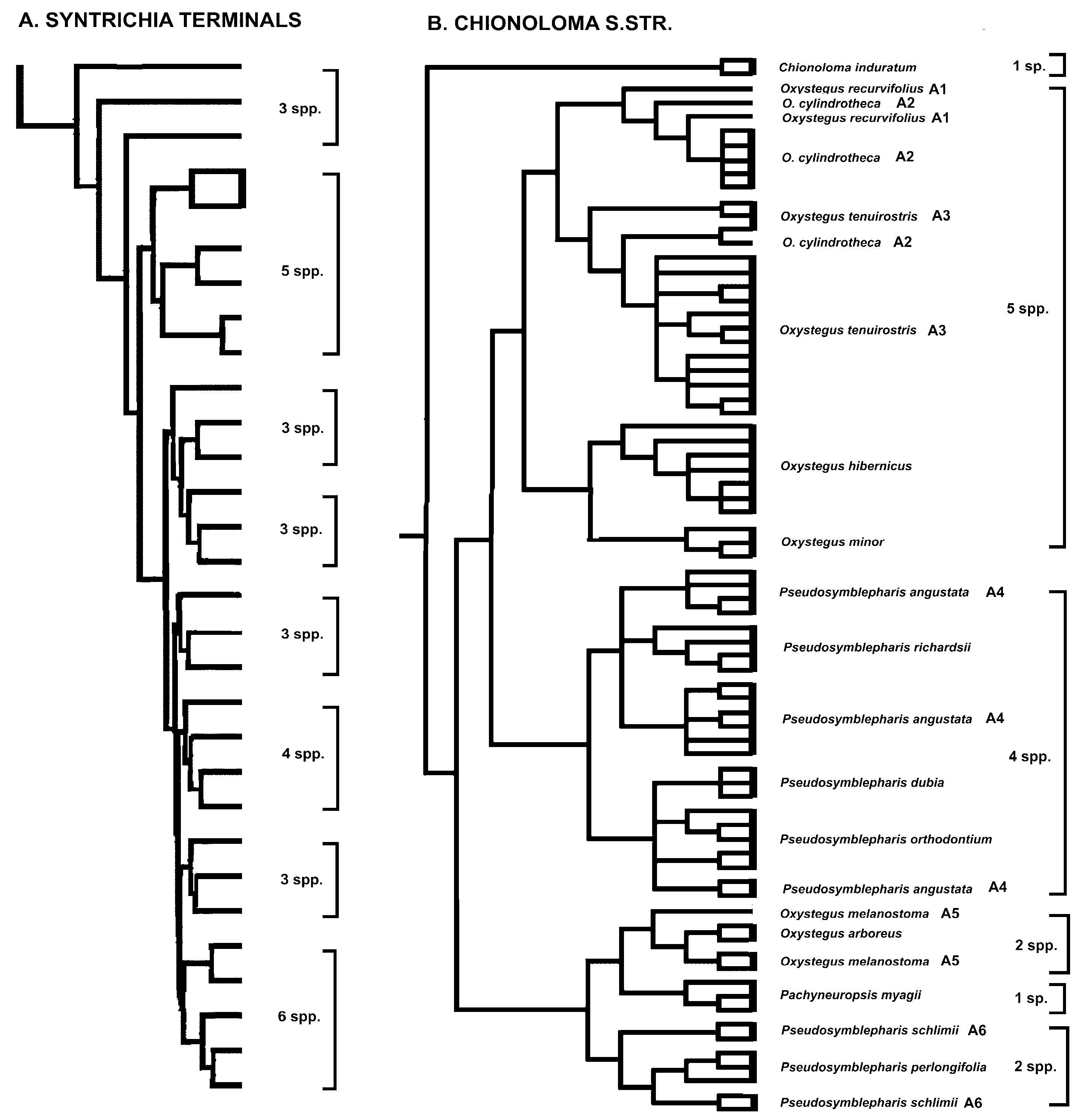 Minimally Monophyletic Genera Present within Meso- and Macrogenera