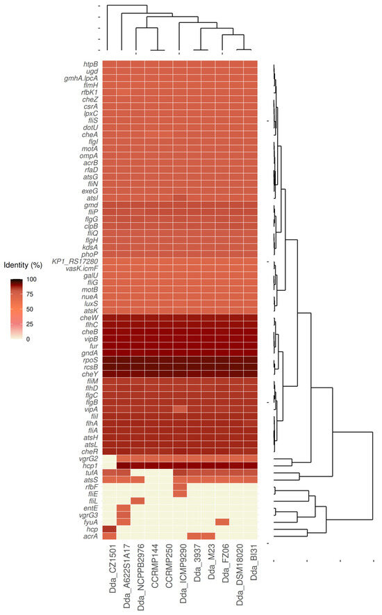 Beyond the Basics: Taxonomic Classification and Pathogenomics in ...
