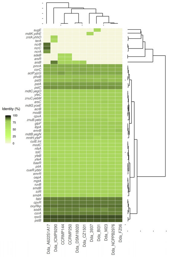 Beyond the Basics: Taxonomic Classification and Pathogenomics in ...