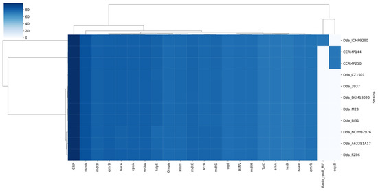 Beyond the Basics: Taxonomic Classification and Pathogenomics in ...