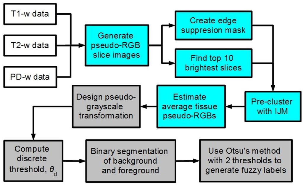 Technologies | Special Issue : Medical Imaging & Image Processing