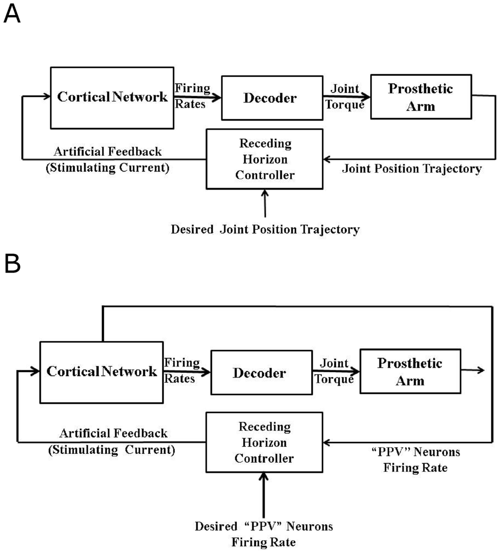 Technologies | Free Full-Text | Designing Closed-Loop Brain-Machine Interfaces Using Model ...