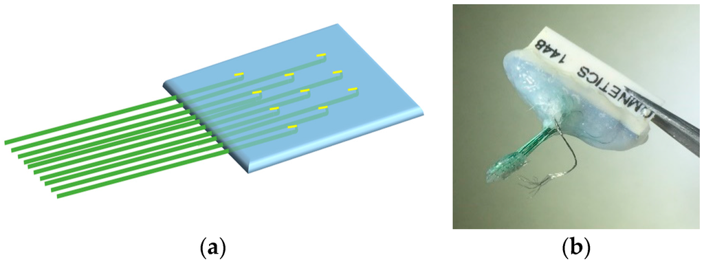 Handcrafted Electrocorticography Electrodes for a Rodent Behavioral Model