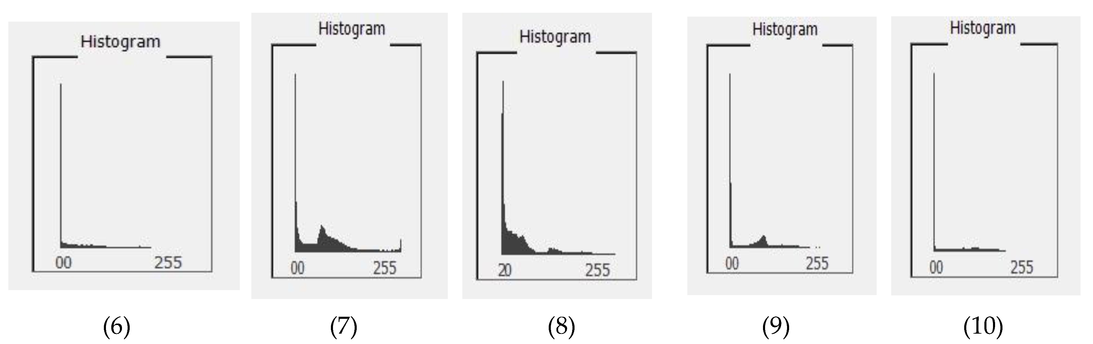 An Algorithm for Data Hiding in Radiographic Images and ePHI/R Application