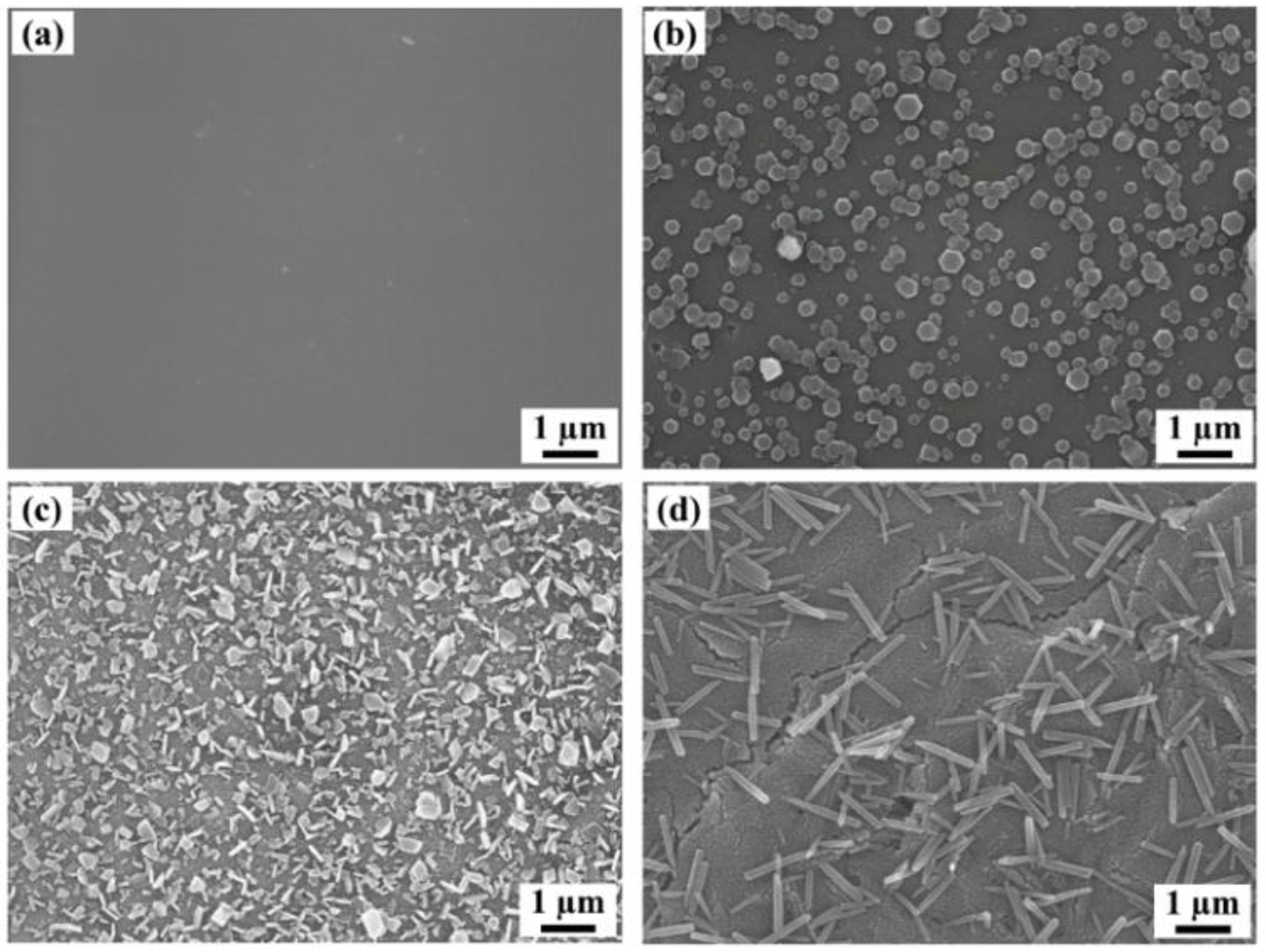 Morphology Control of Nanocrystallized C60 Thin Films Prepared by Poor ...