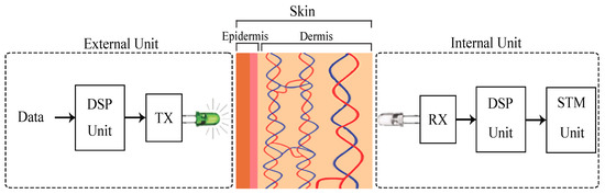 Signal Quality Assessment for Transdermal Optical Wireless Communications under Pointing Errors